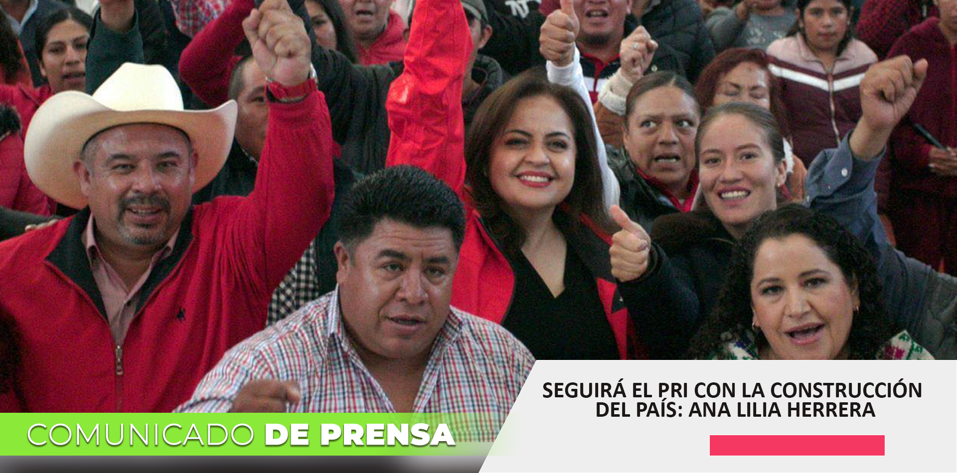 Partido Revolucionario Institucional | PRIEDOMEX