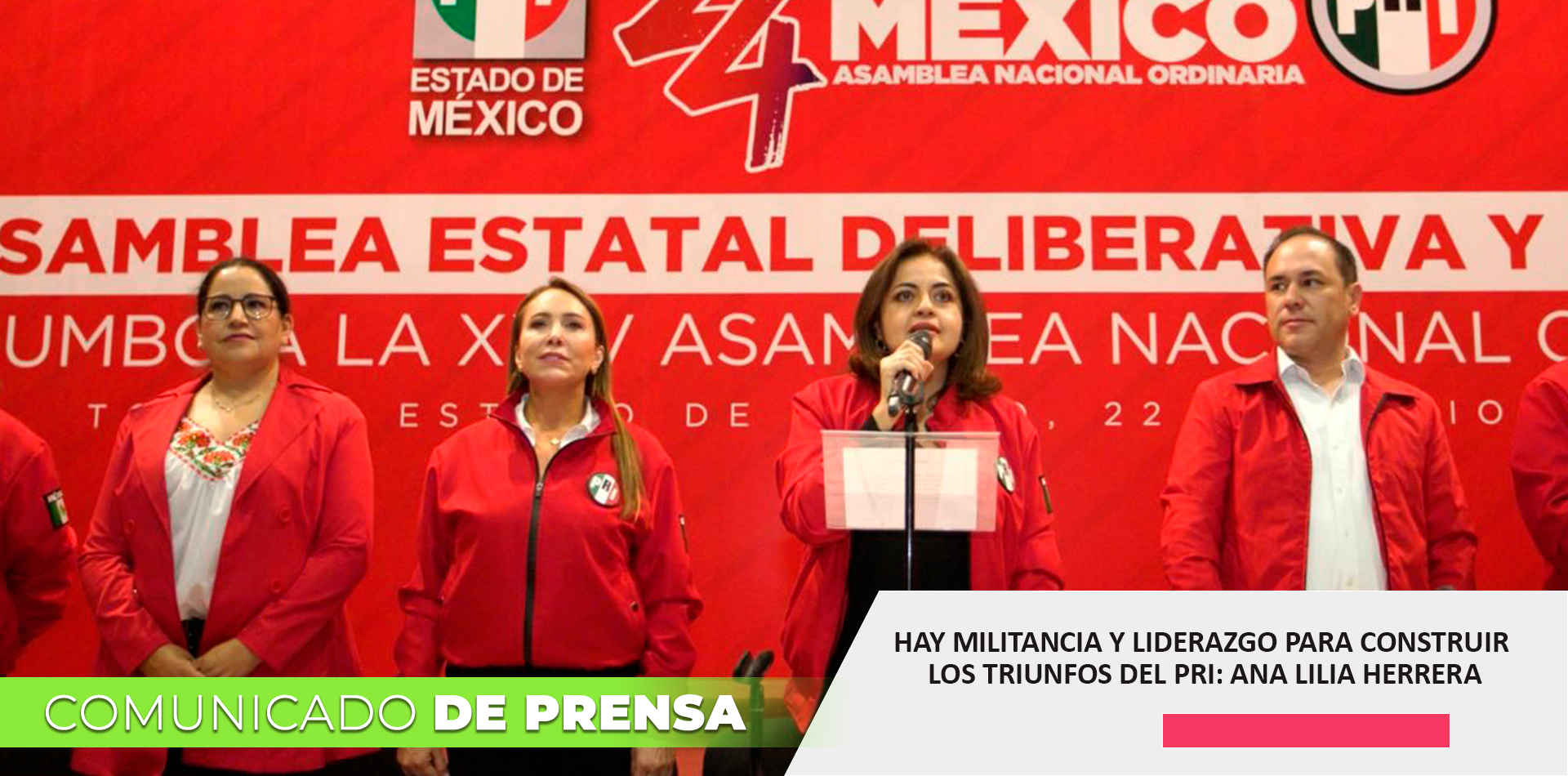 Partido Revolucionario Institucional | PRIEDOMEX